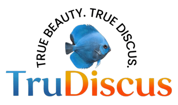 Discus Fish – TruDiscus | Freshwater Royalty